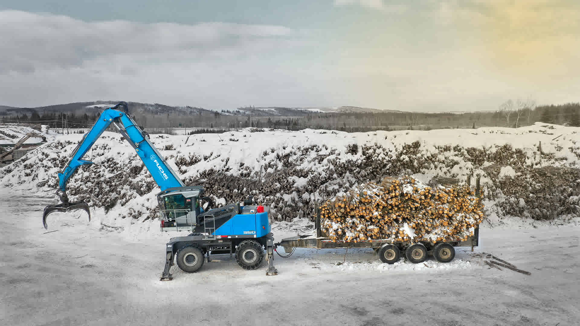 Timber handling with Fuchs